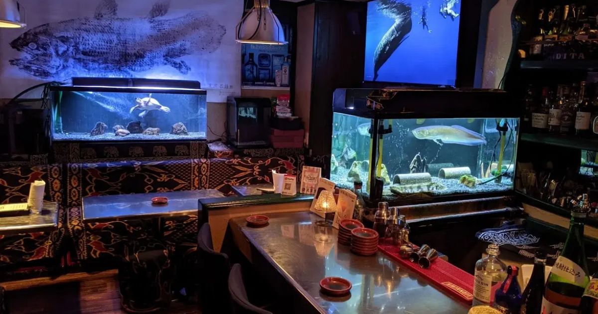 写真一覧：SHOT＆COCKTAIL DITA BAR ショットアンドカクテル ディタ バー - Retty（レッティ） 日本最大級の実名型グルメサービス