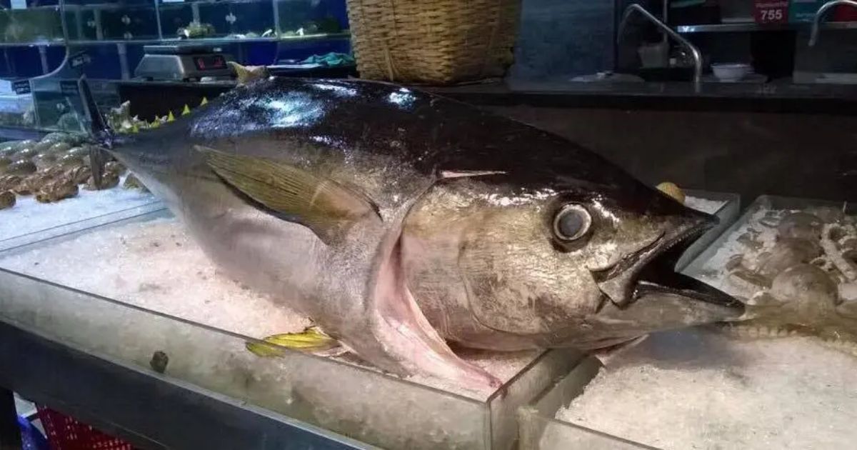Oc linh(ドンコイ通り/魚介・海鮮料理) - Retty